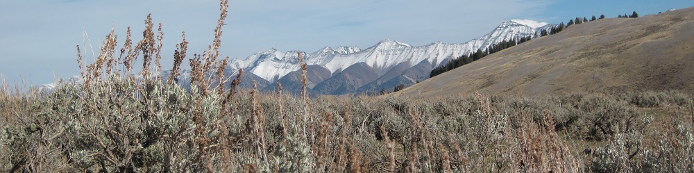 Ecosystems | Learn about Rangelands