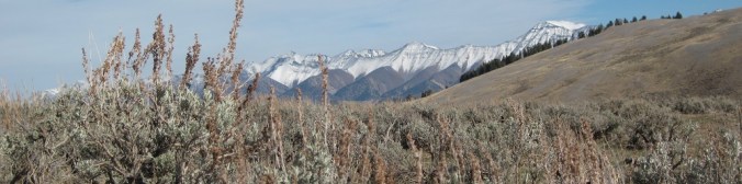 Ecosystems | Learn about Rangelands